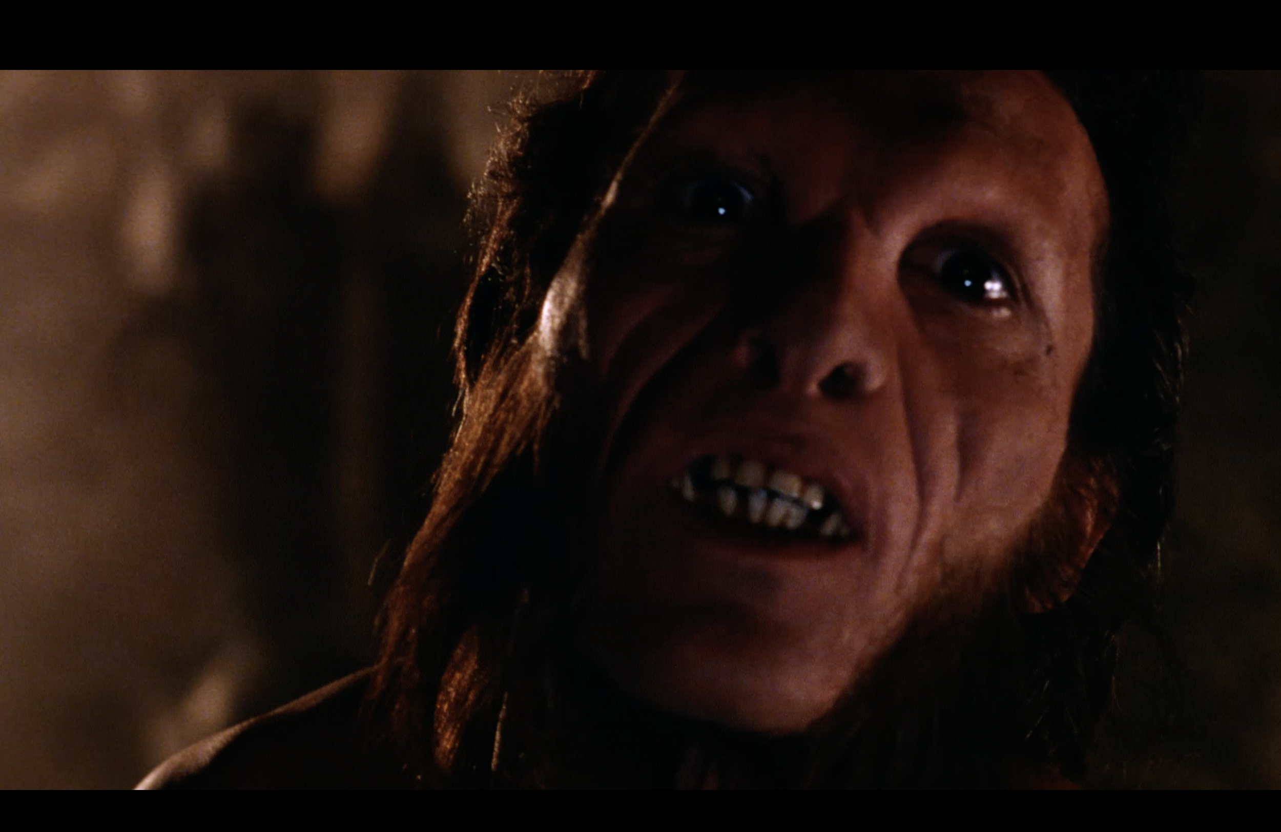 COLLECTOR'S CRYPT - "MERIDIAN" (FULL MOON BLU-RAY) — Macabre Daily