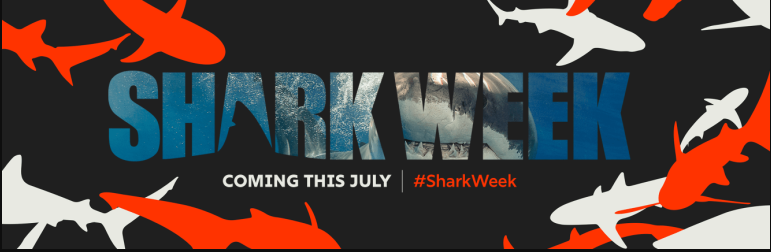 SHARK WEEK 2022 Swims On To Discovery Starting July 24th! — Macabre Daily