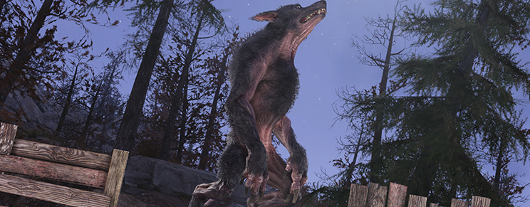 Bird Bones Fallout 76