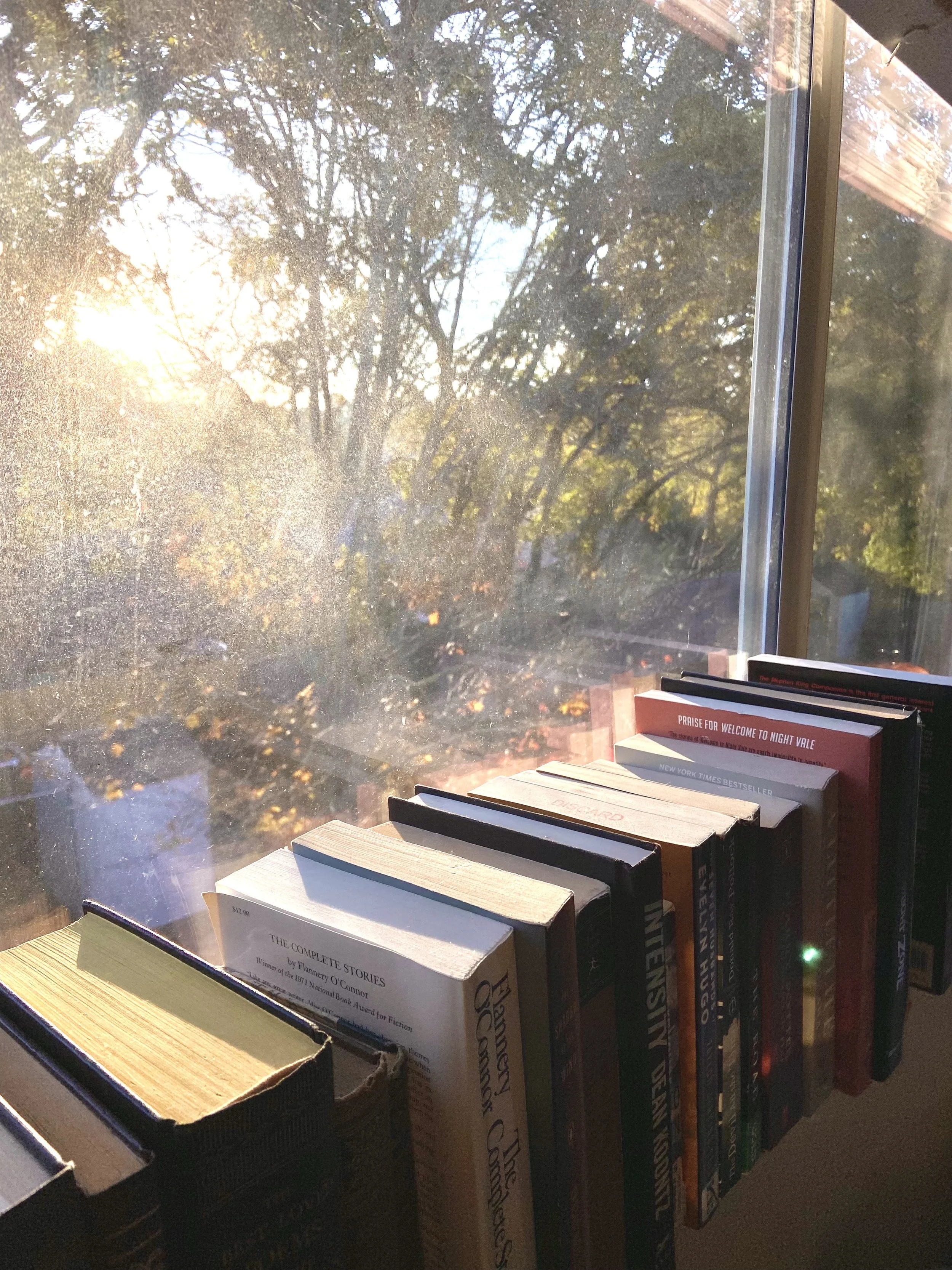 AUTUMN LEAVES AND LITTLE SCREAMS: THE BEST COZY HORROR BOOKS — Macabre ...
