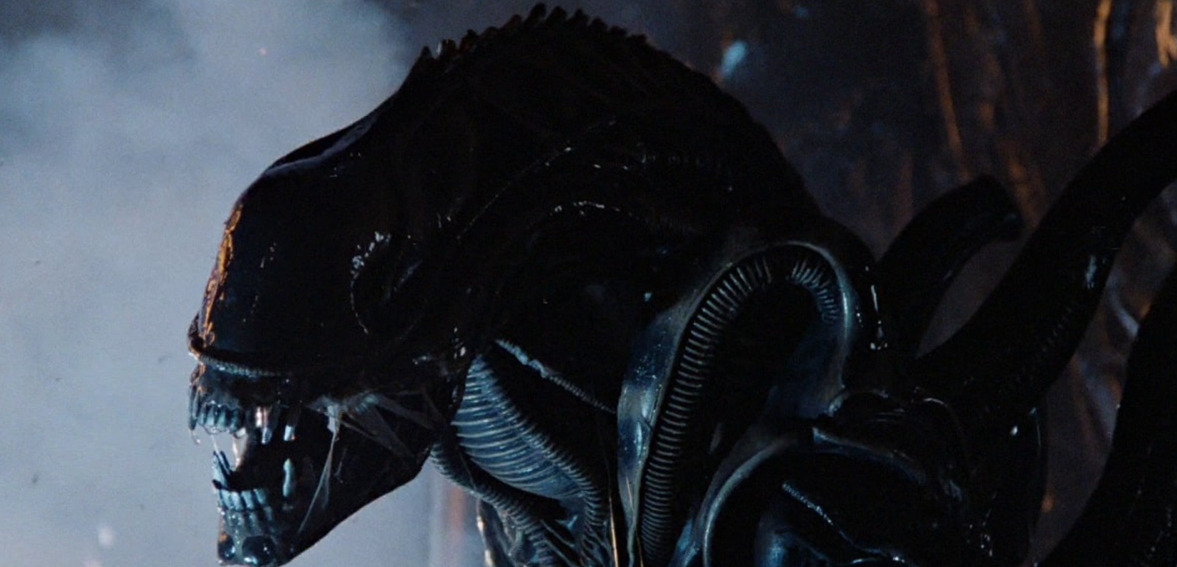 FX Chairman Talks Alien Series Length "It's Designed To Be An Ongoing ...
