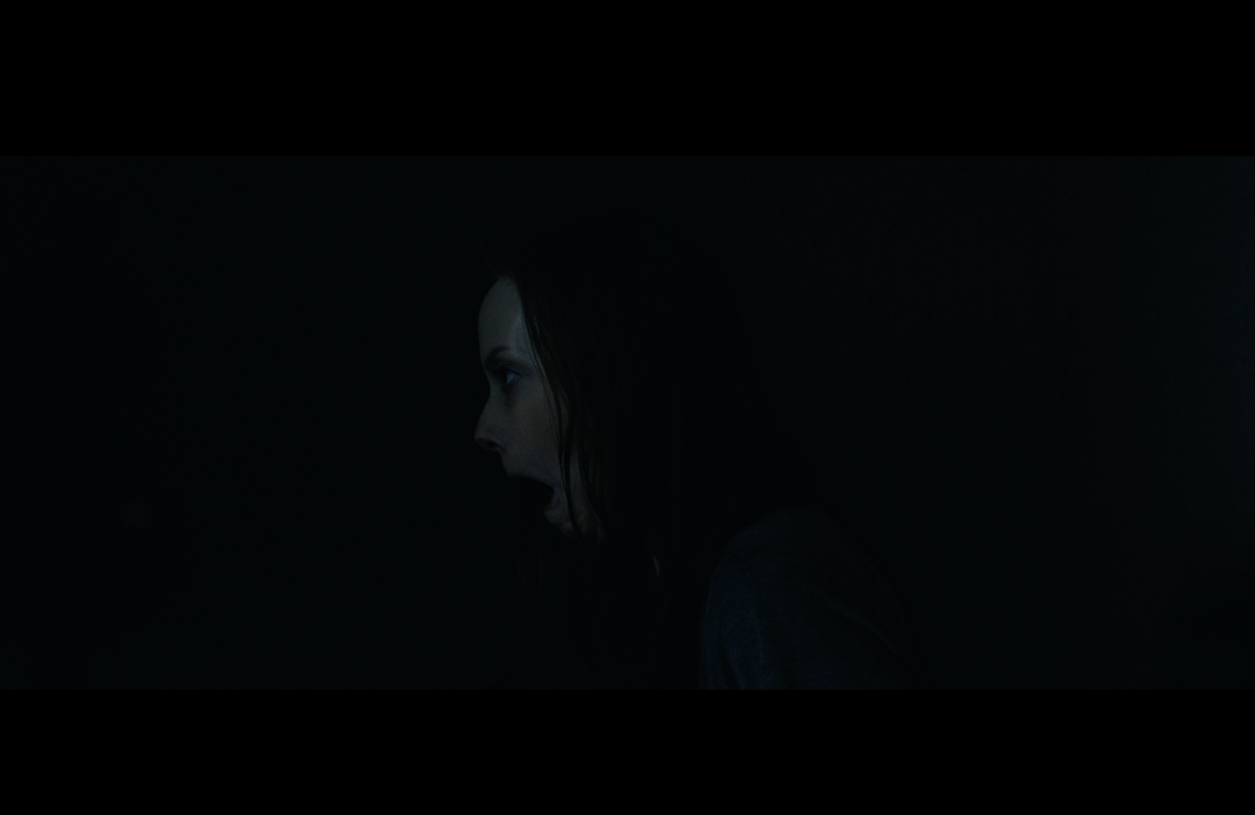 COLLECTOR'S CRYPT - TWO WITCHES (ARROW BLU RAY) — Macabre Daily