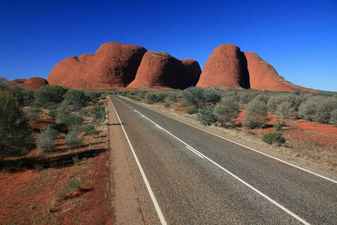 Macabre Daily's Top 13 Must See Australian Horror Movies — Macabre Daily