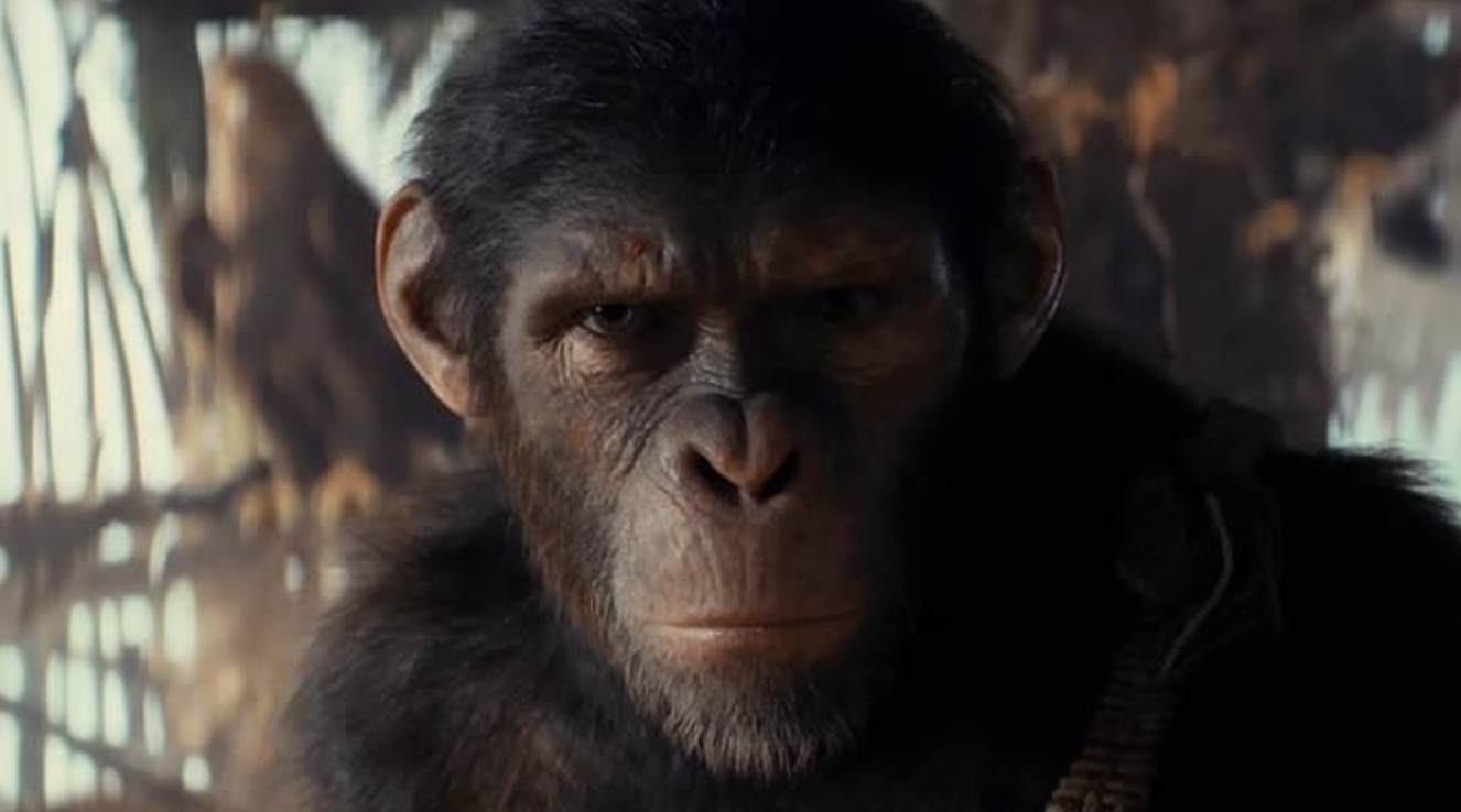 KINGDOM OF THE PLANET OF THE APES Will Be Set 300 Years After Previous ...