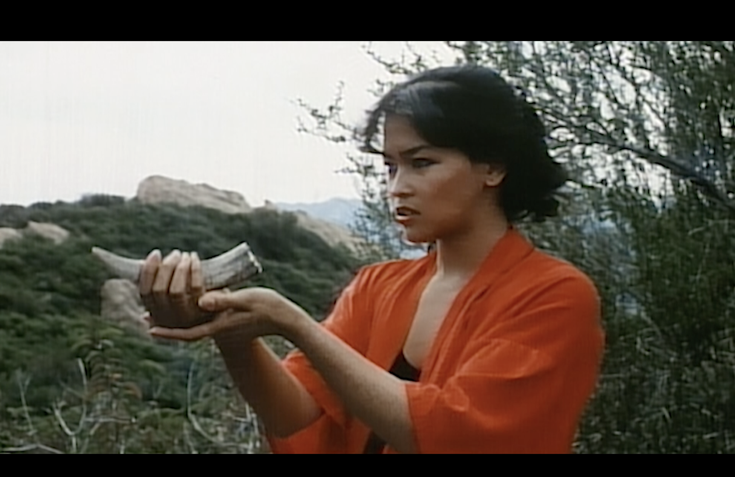 COLLECTOR'S CRYPT - "FURIOUS" (VISUAL VENGEANCE BLU-RAY) — Macabre Daily