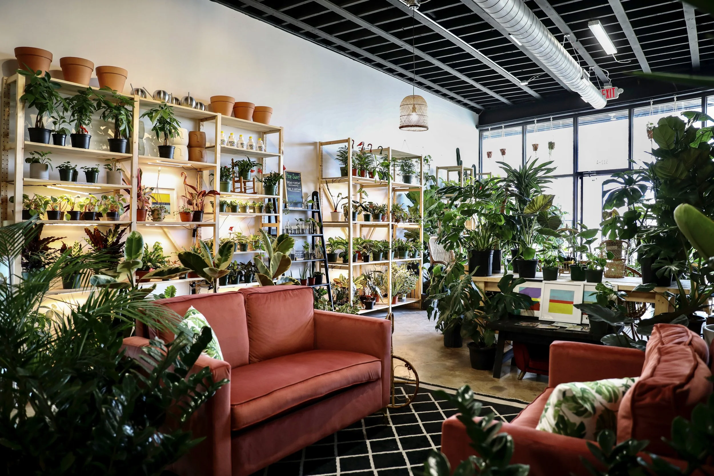 Sun and Soil Plant Parlor