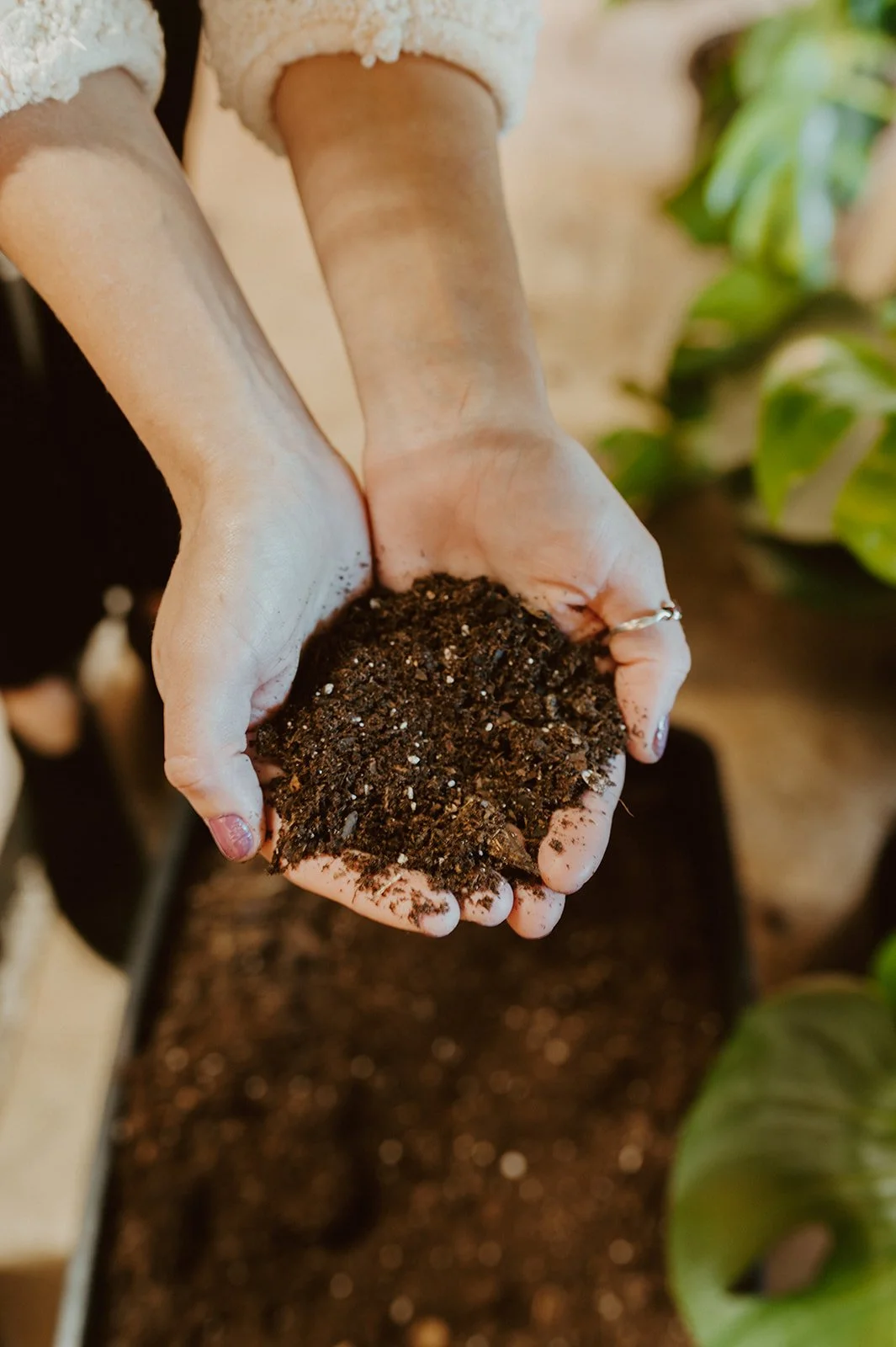 Potting Services — Sun and Soil