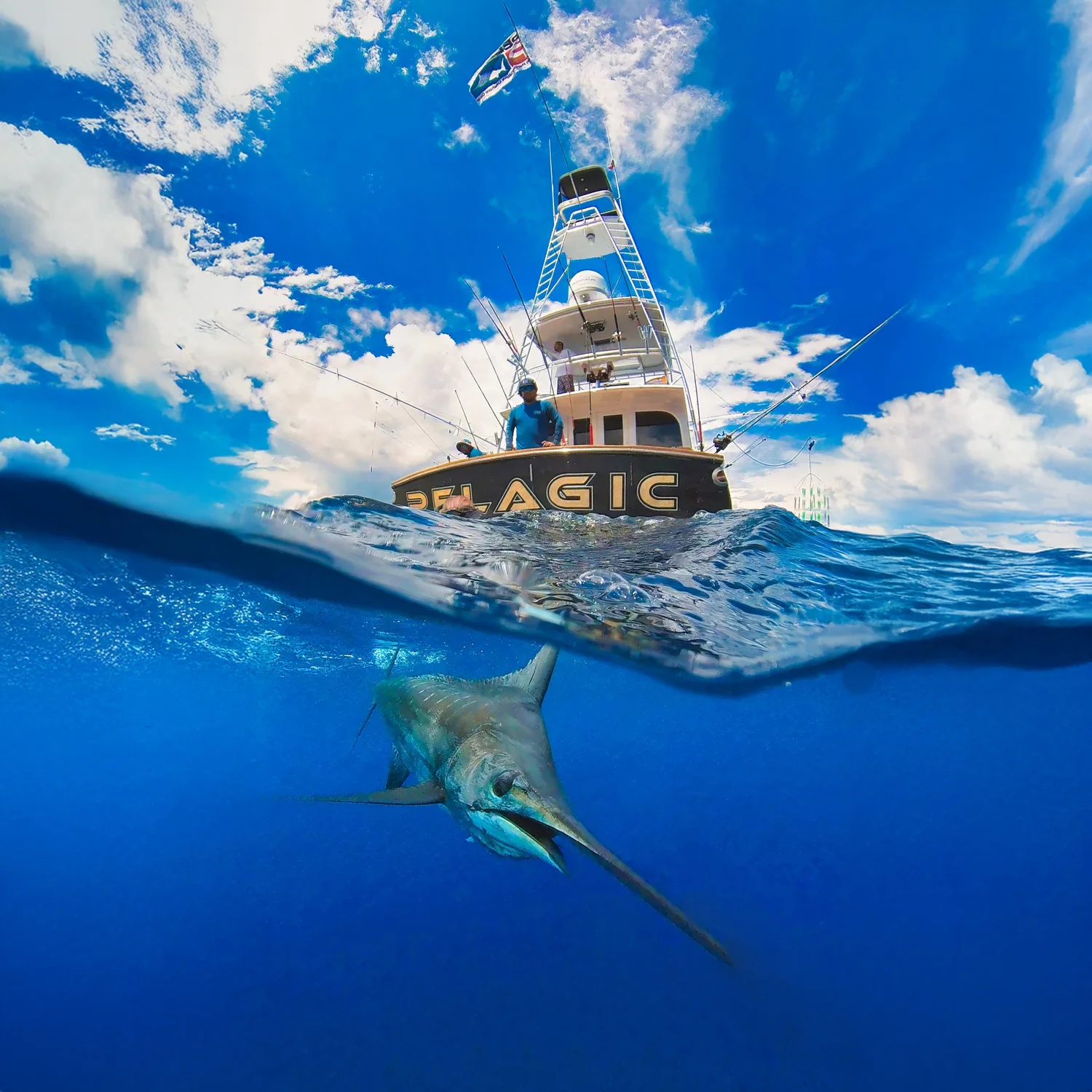 Club Pelagic | Costa Rica Fishing Resort