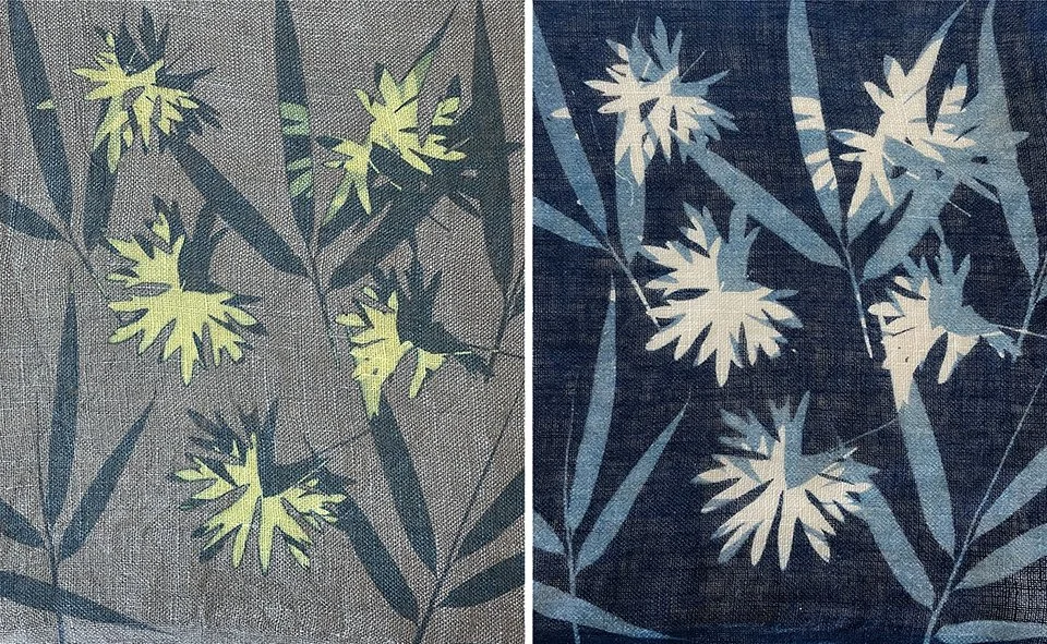 cyanotype samples — VICTORIA GLOVER