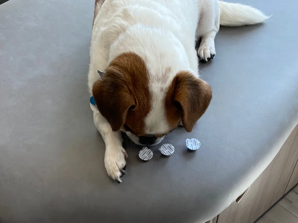 First Visit — East Nashville Pediatric Dentistry