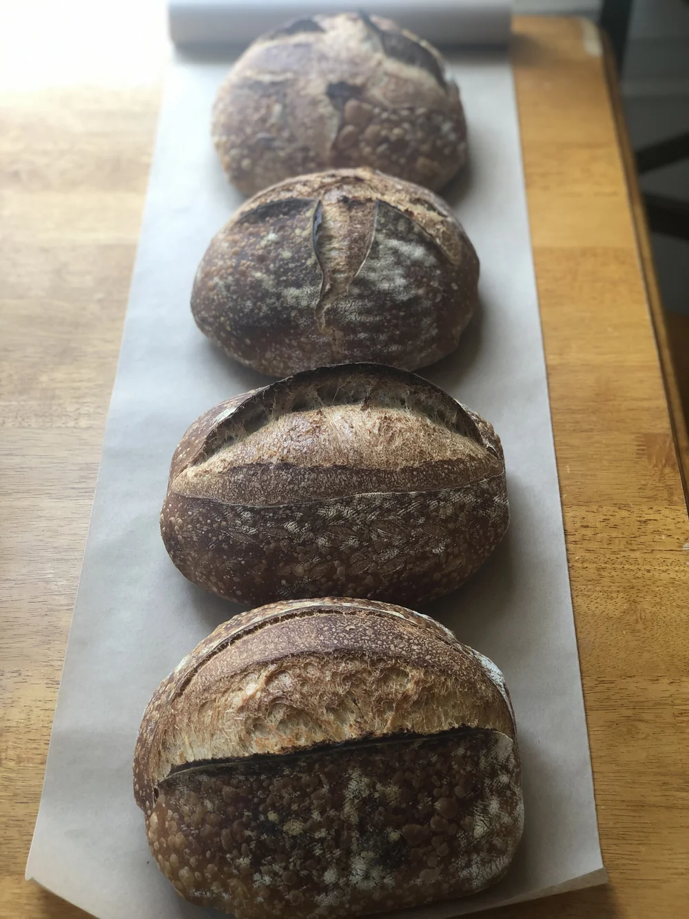 Billy's Story | Explore a Passion — Billy Bread