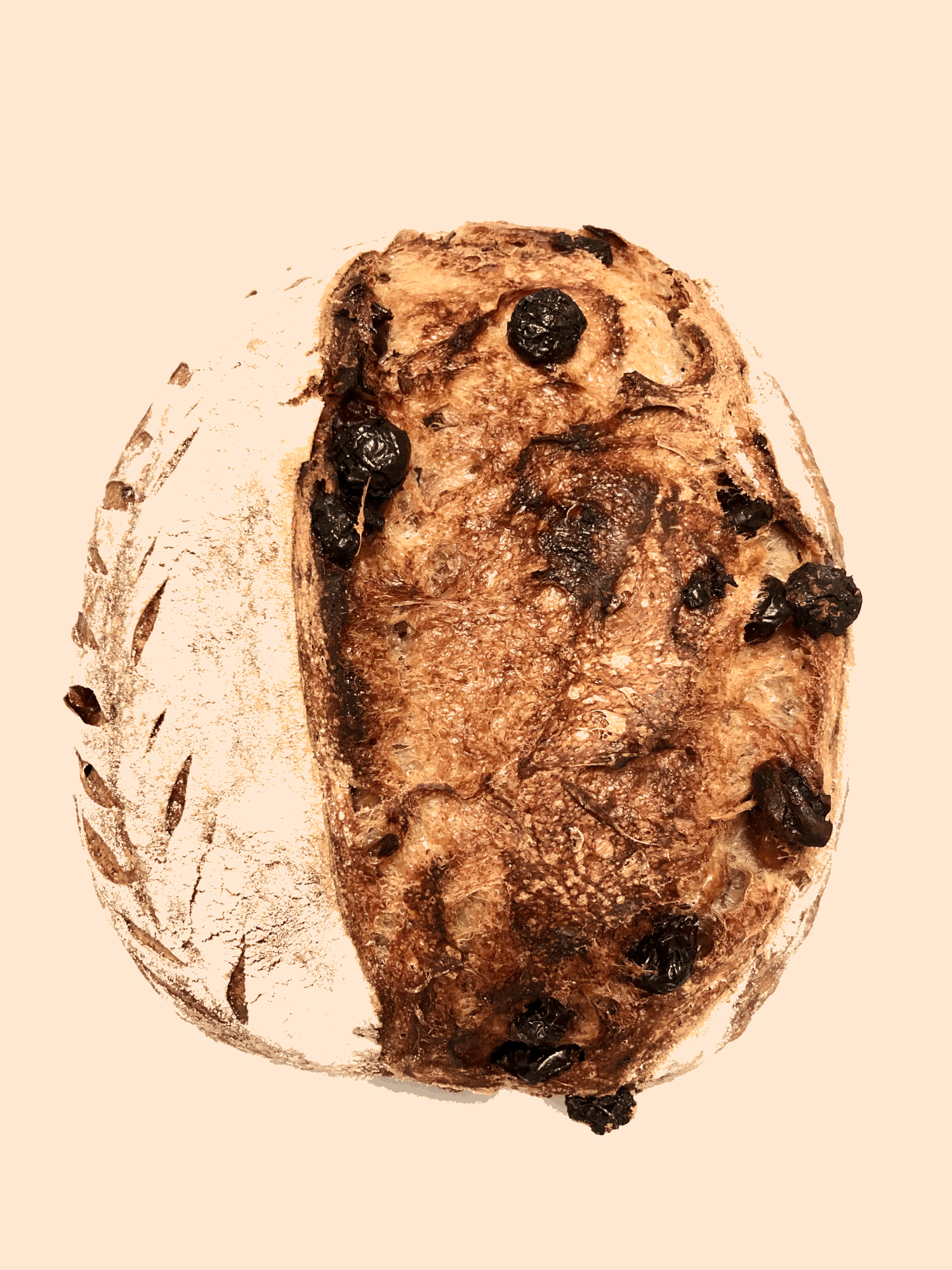 Shop — Billy Bread