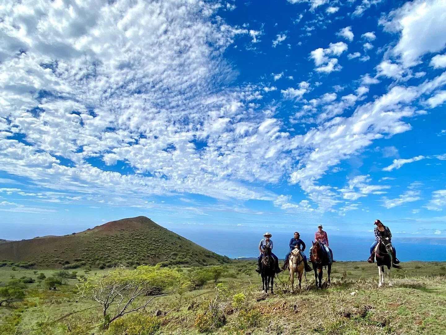 HORSEBACK RIDING MAUI