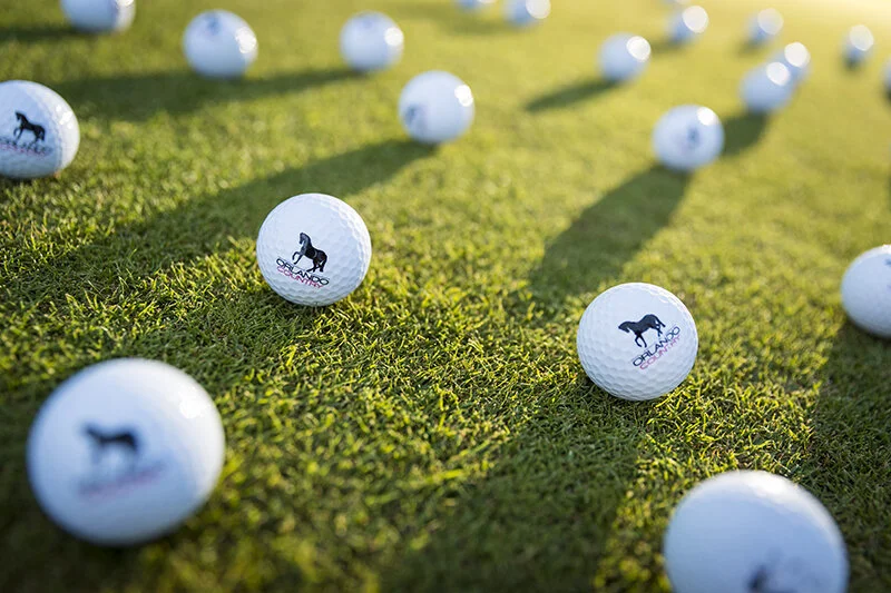 Family Activities in Palmerston North, Driving Range — Events Venue ...