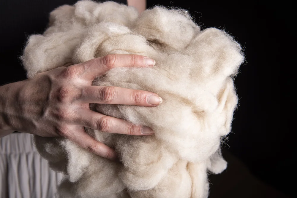 Fun Facts About Cashmere — SOFTON CASHMERE