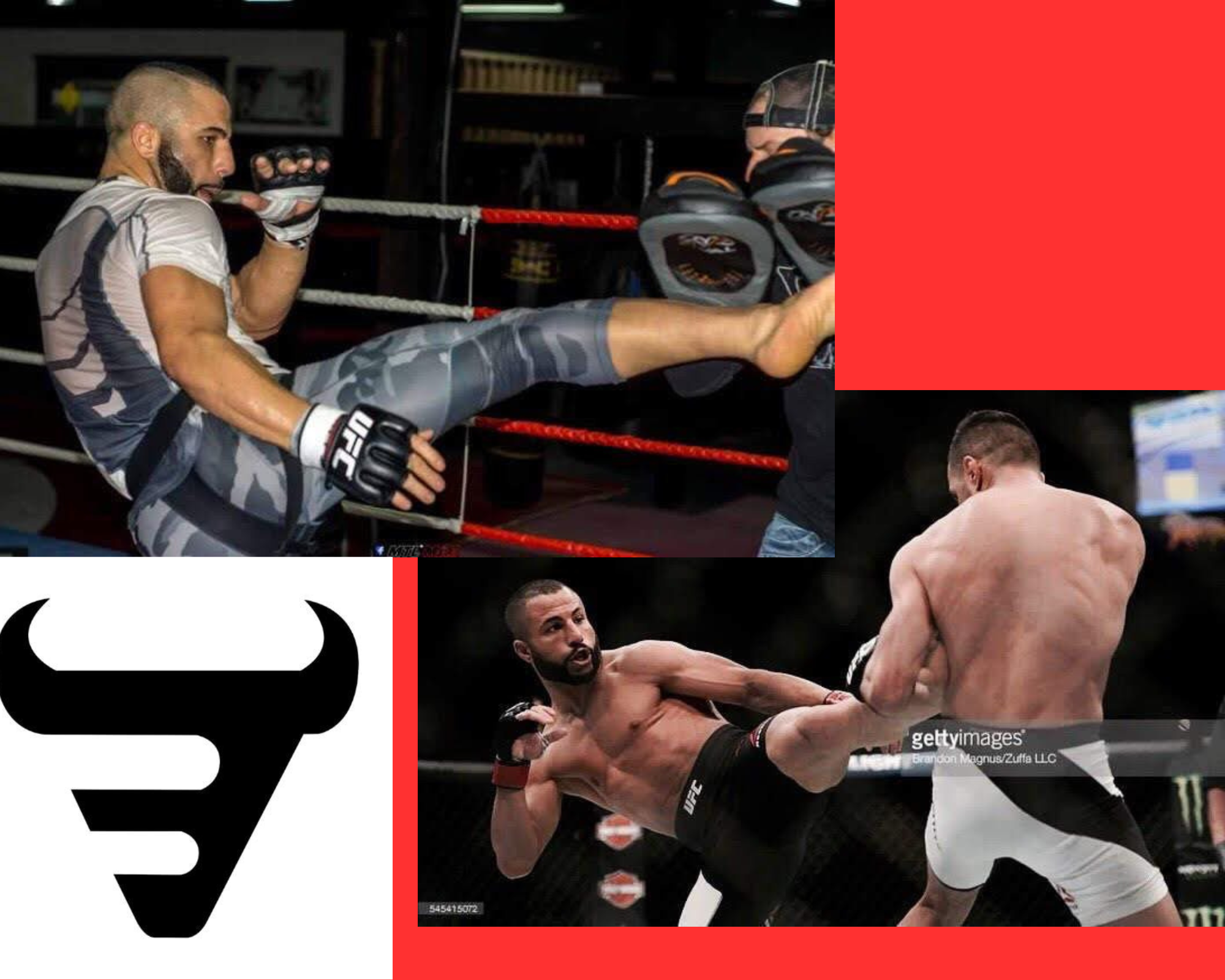 John THE BULL Makdessi