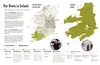 Almost Irish Stew: A Family Affair — ADVENTUROUS COOKS