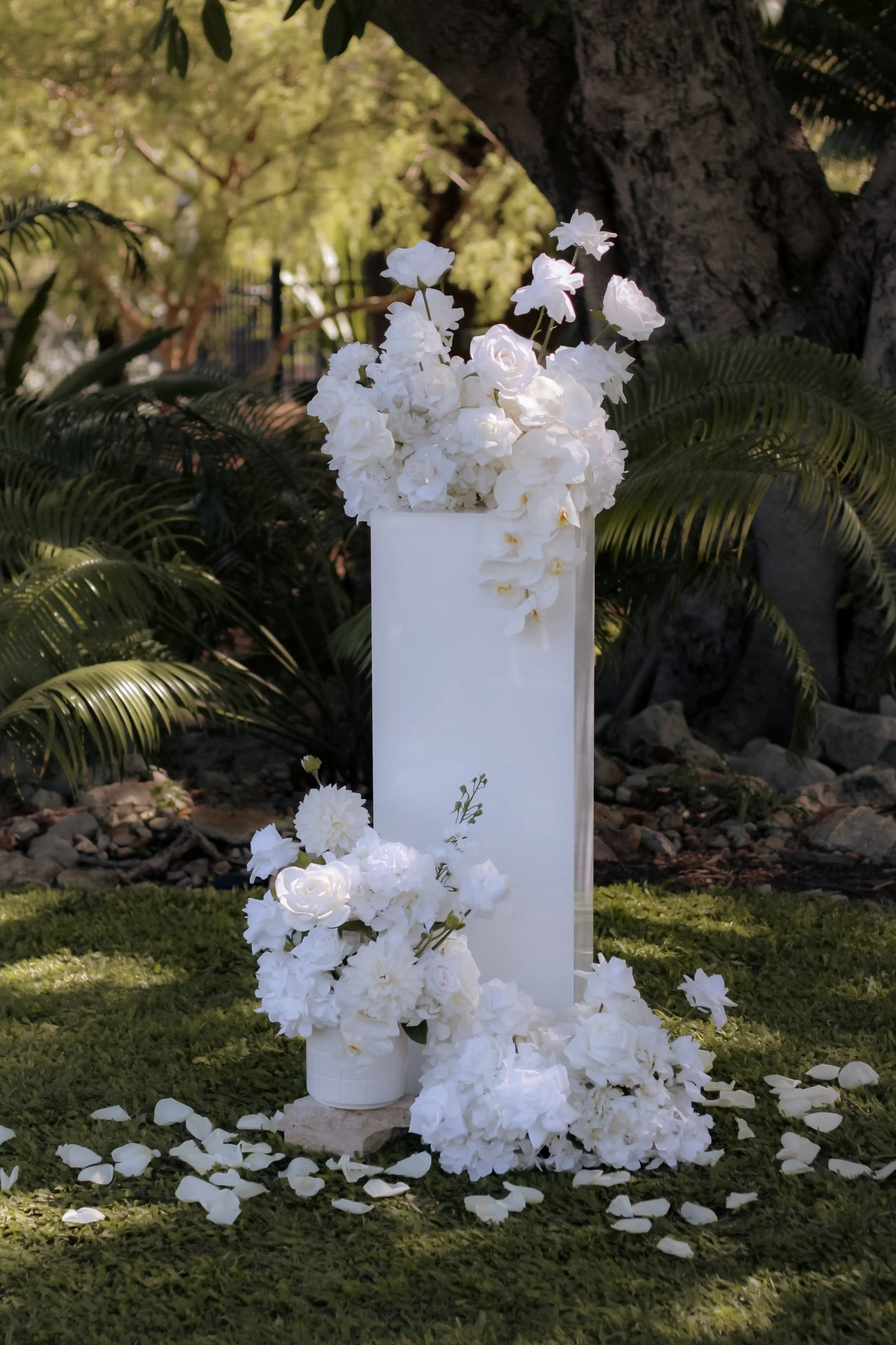 Standard plinths — Aurora + Co Events