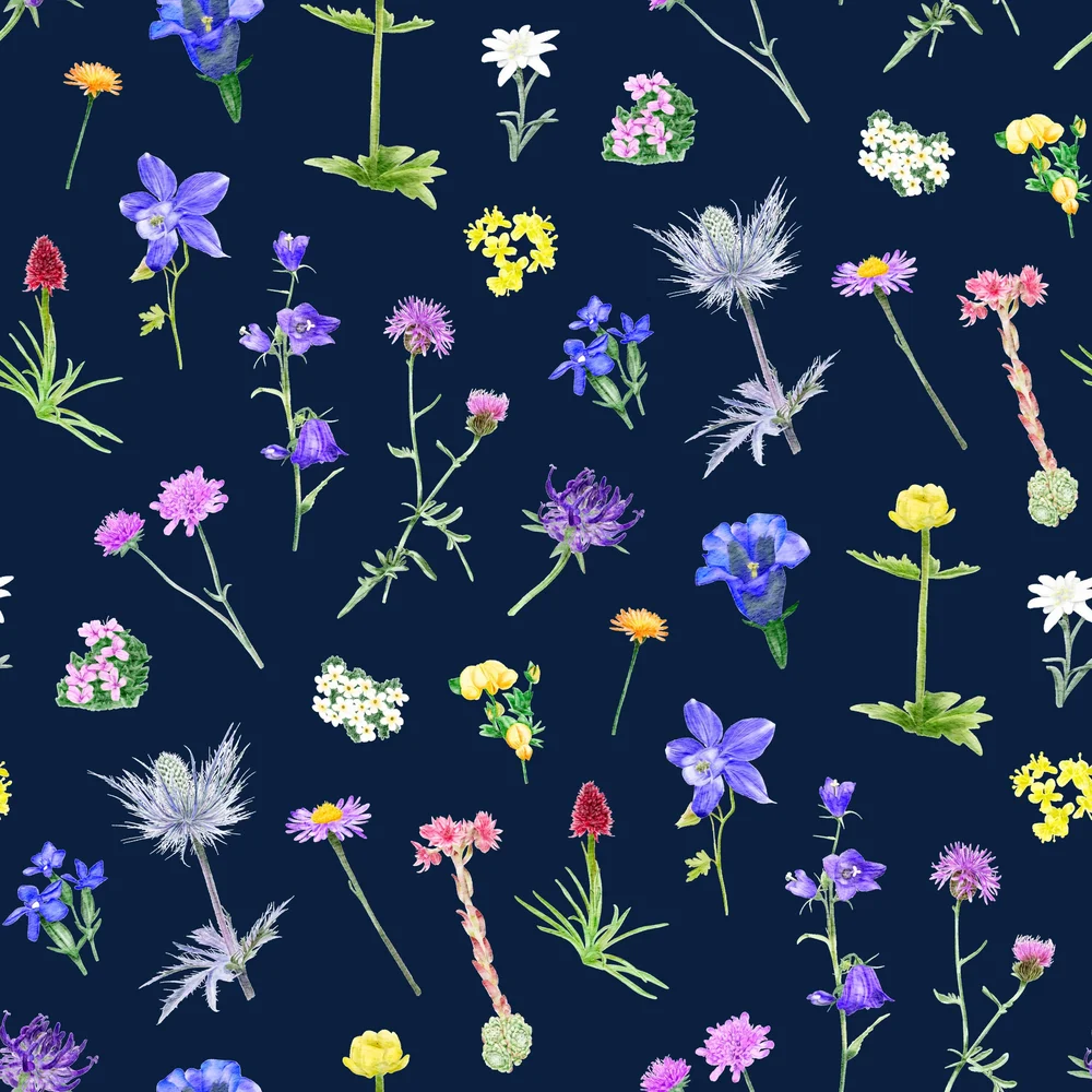 Art Shop — Alpine Tones Illustration