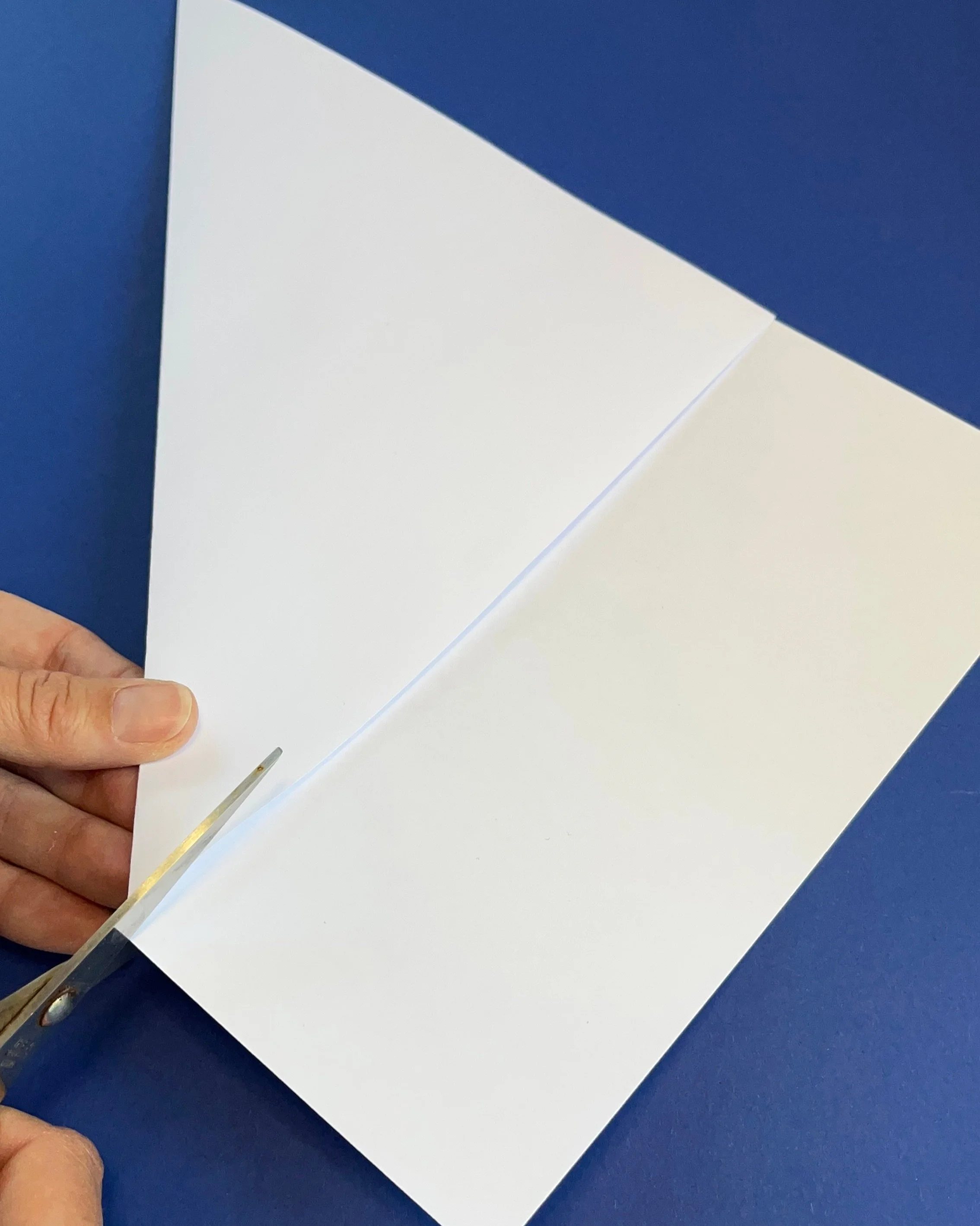 Learn how to create repeat patterns — Alpine Tones Illustration