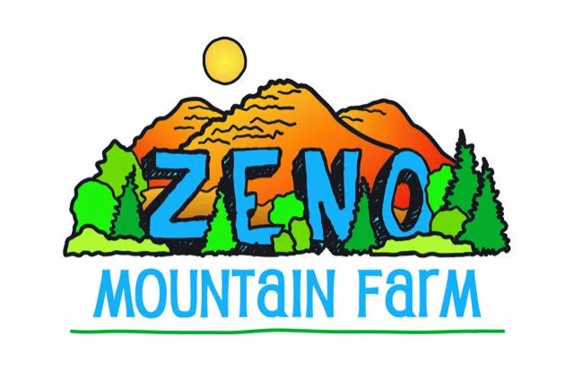 Bristol Social Justice Discussion Group: Neurodiversity with Zeno ...