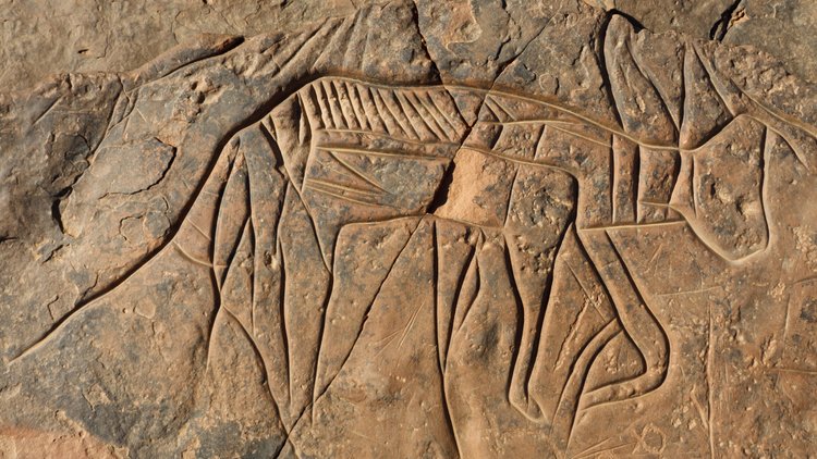 Prehistoric Libya — Libyan Heritage House