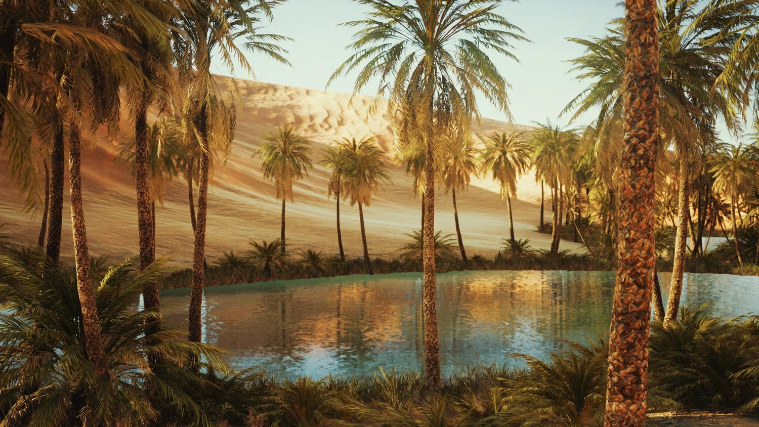 Environment — Libyan Heritage House