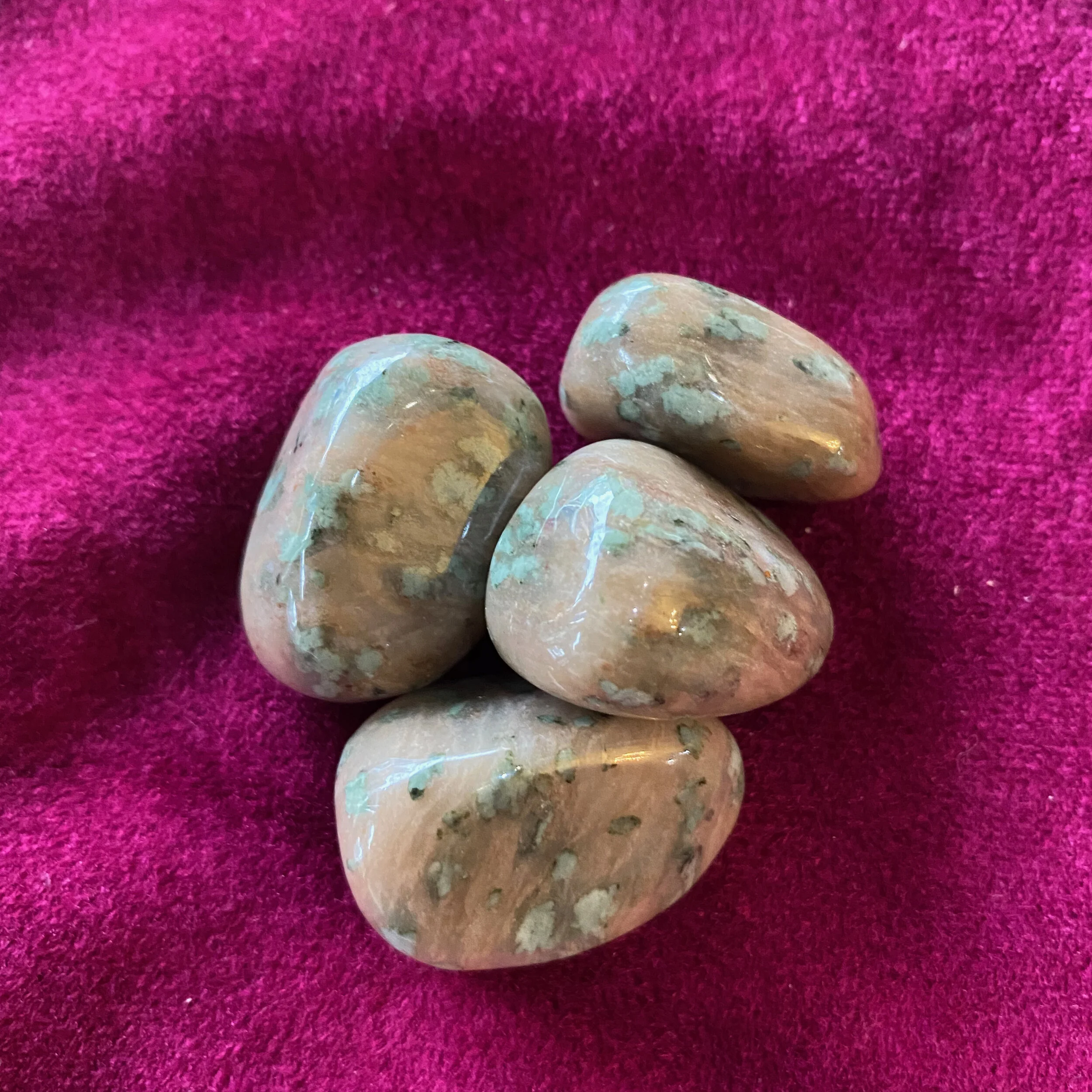 Shop — Crysalis Online Store
