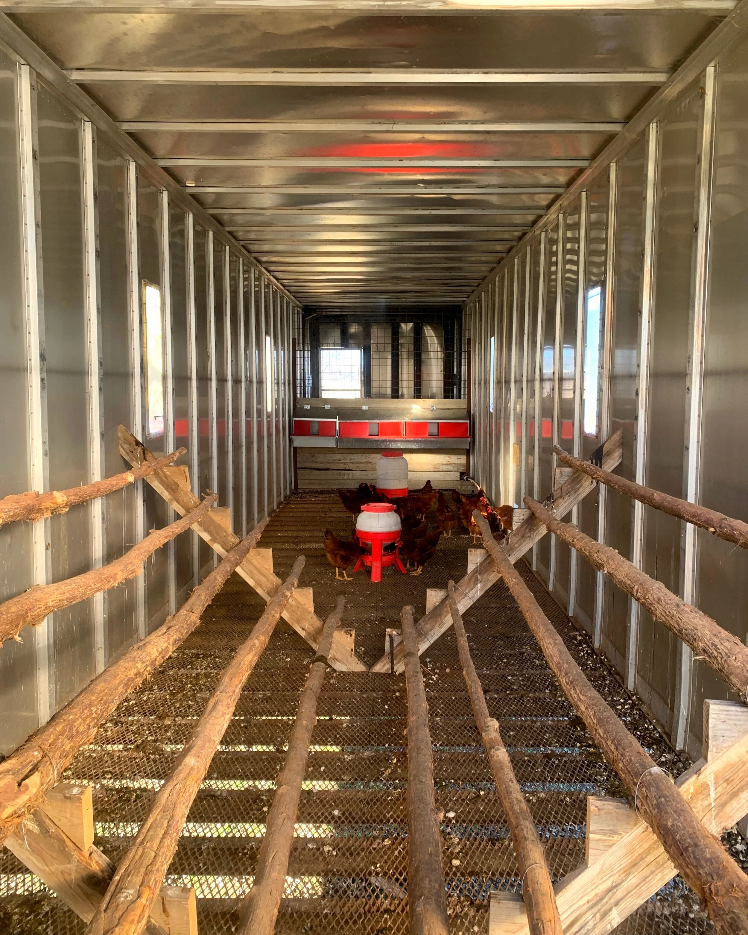 Local meat, pasture-raised lamb and beef, ranch stay, farm stay ...