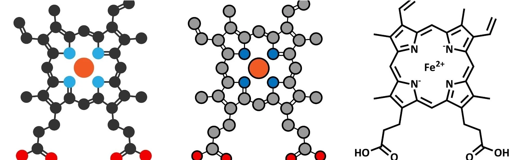 10 Health Benefits of Lamb meat — Hackamore Ranch