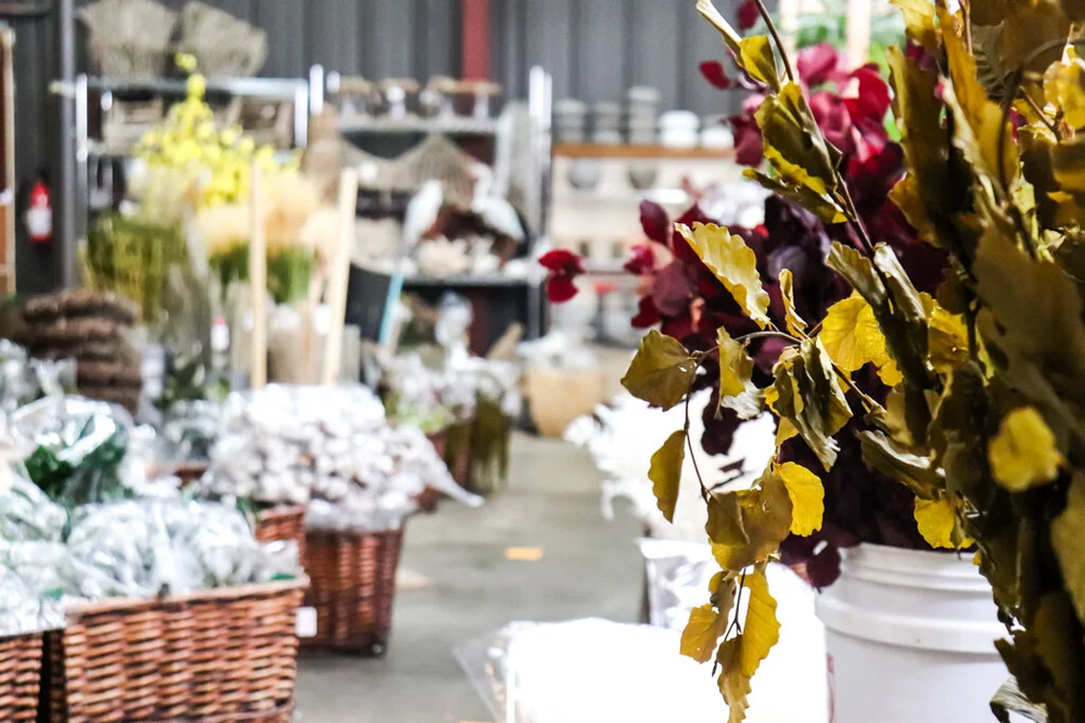 New Arrivals — Davis Wholesale Florist