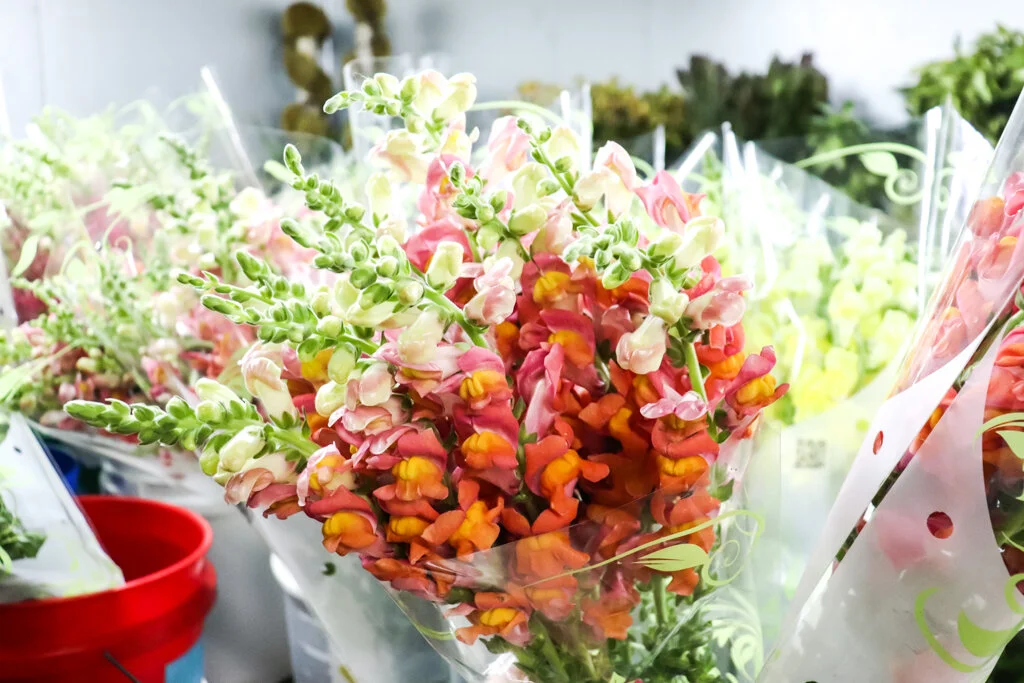 Flowers — Davis Wholesale Florist