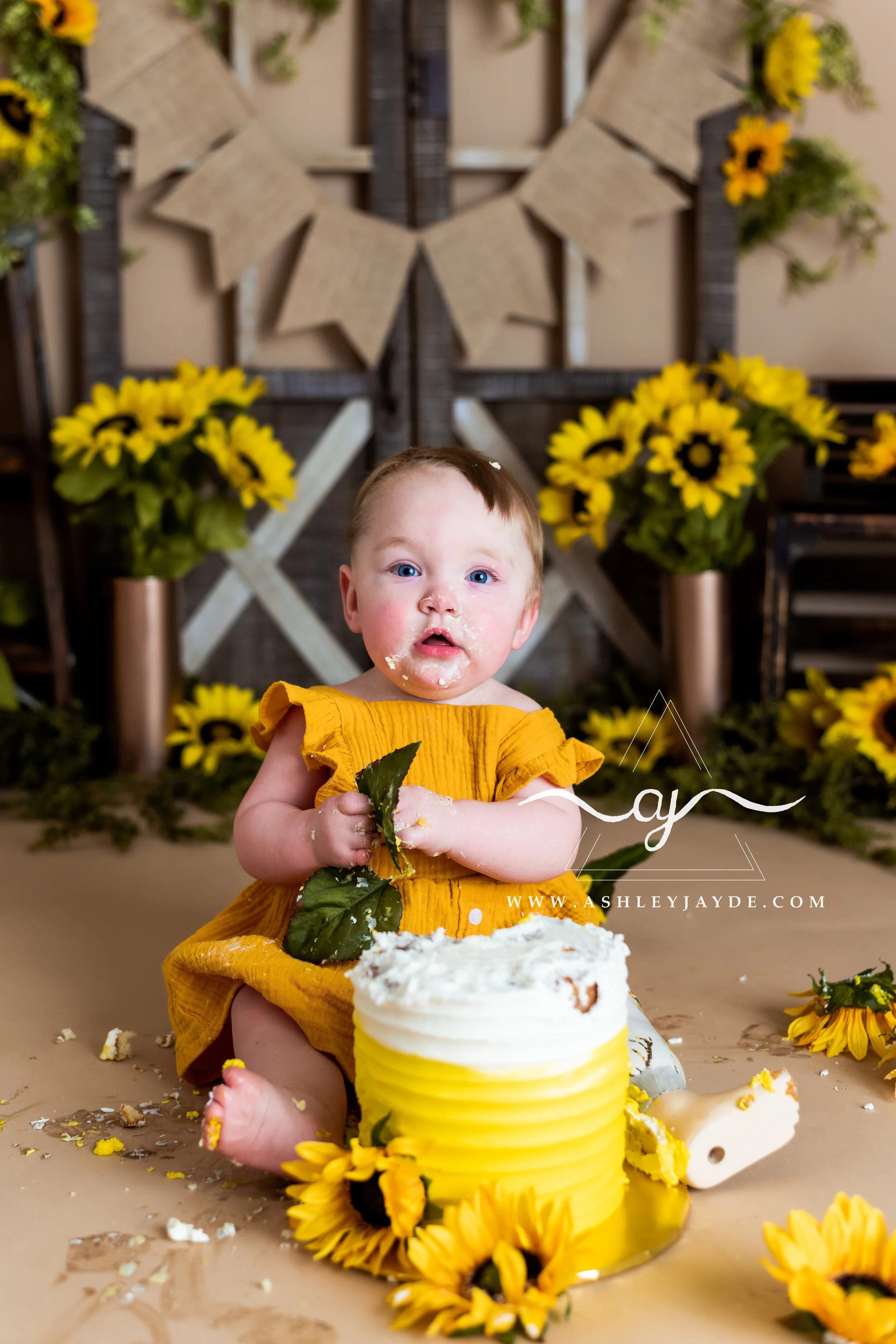 Sunflower Theme Cake Smash | Best Flower Site