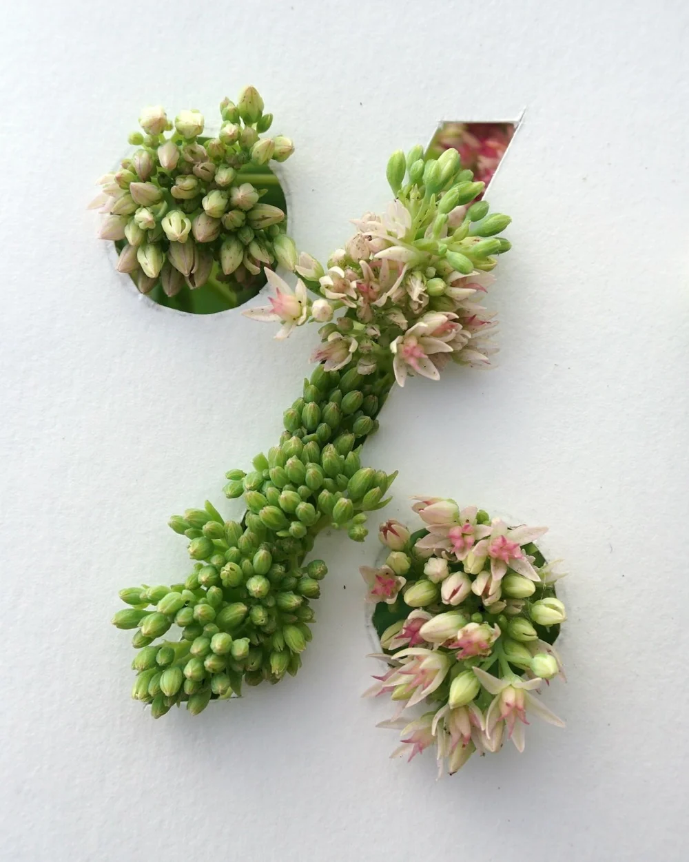 3 top tips to become a profitable florist business — The Botanic ...