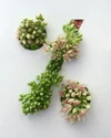 3 top tips to become a profitable florist business — The Botanic ...