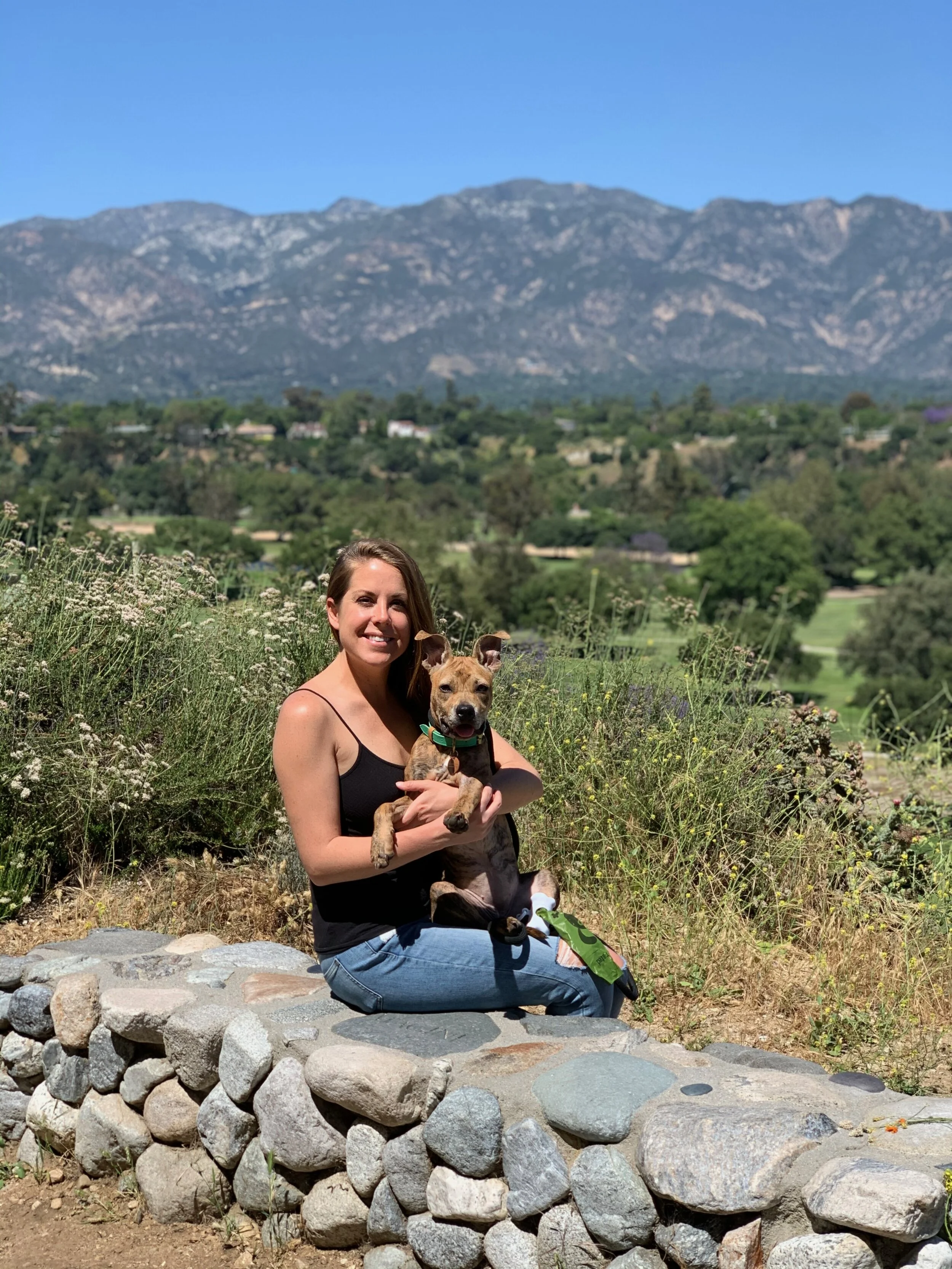 About Me — Sarah M. Tashjian, JD, PhD