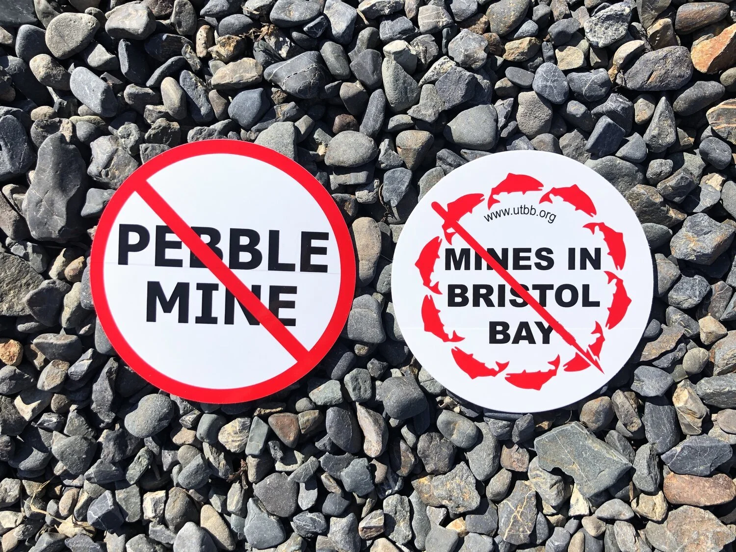 Shop — United Tribes of Bristol Bay