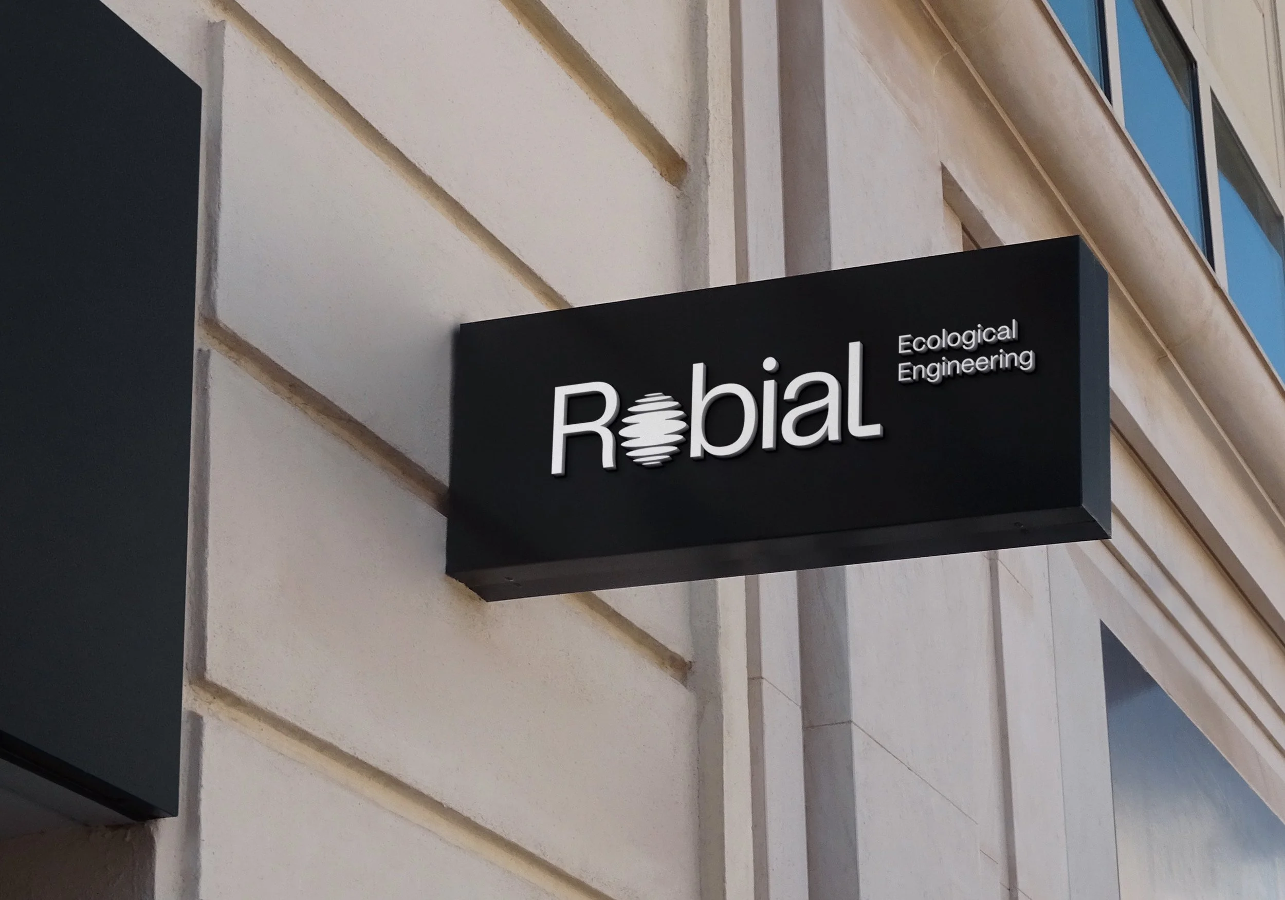 Robial Brand Identity — Studio Mammmal