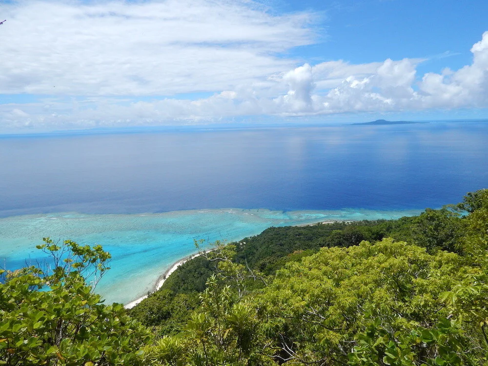 A Jurassic Journey: uncovering the untouched island of Vatuvara ...
