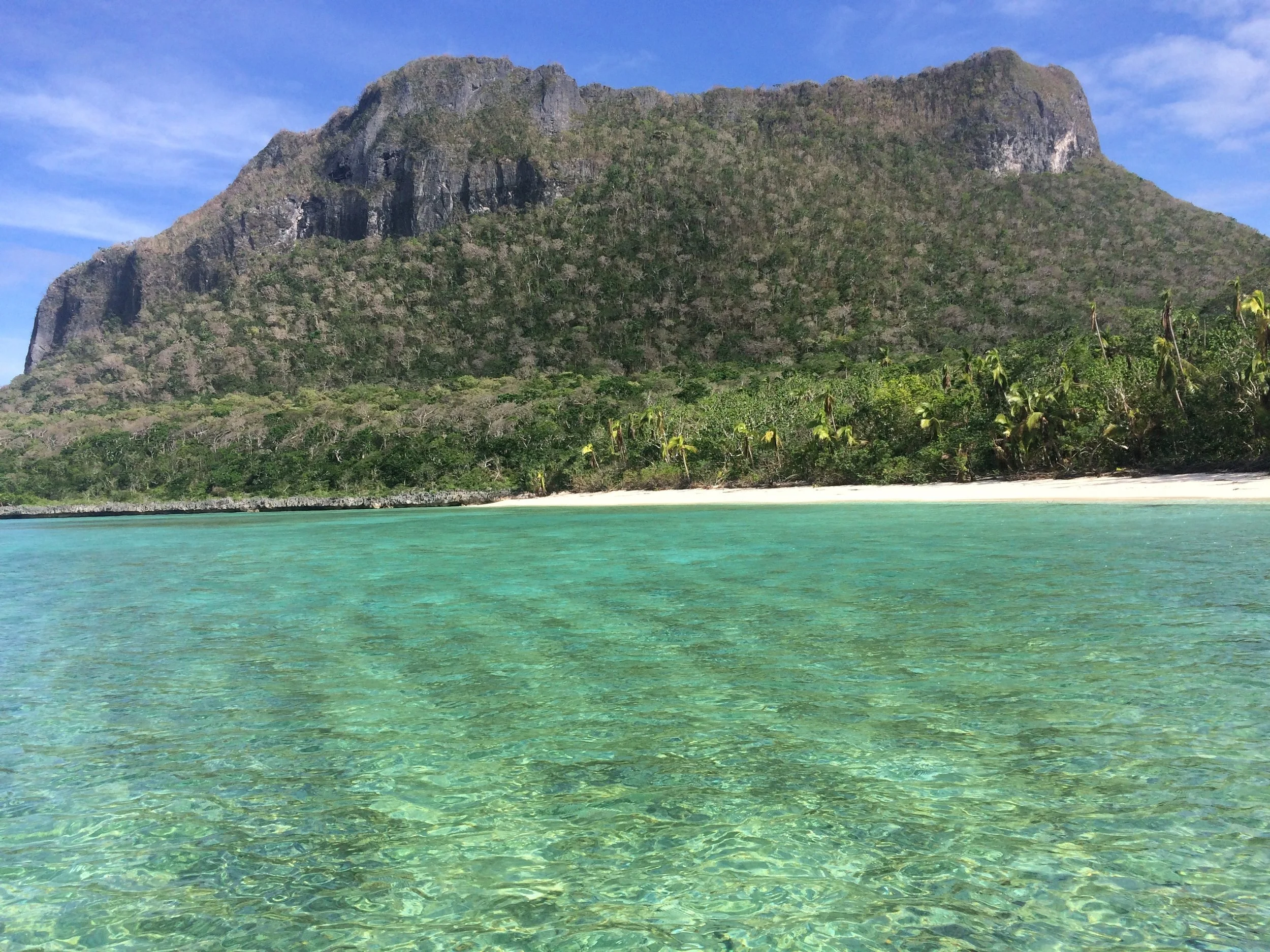 Vatuvara Island: A Haven for Threatened Species — Vatuvara Foundation Fiji