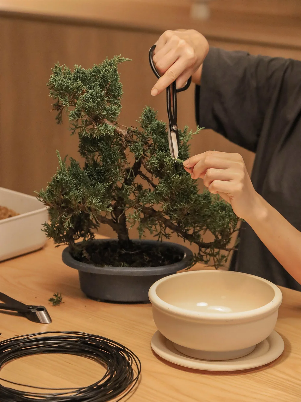 Workshops — Soilboy