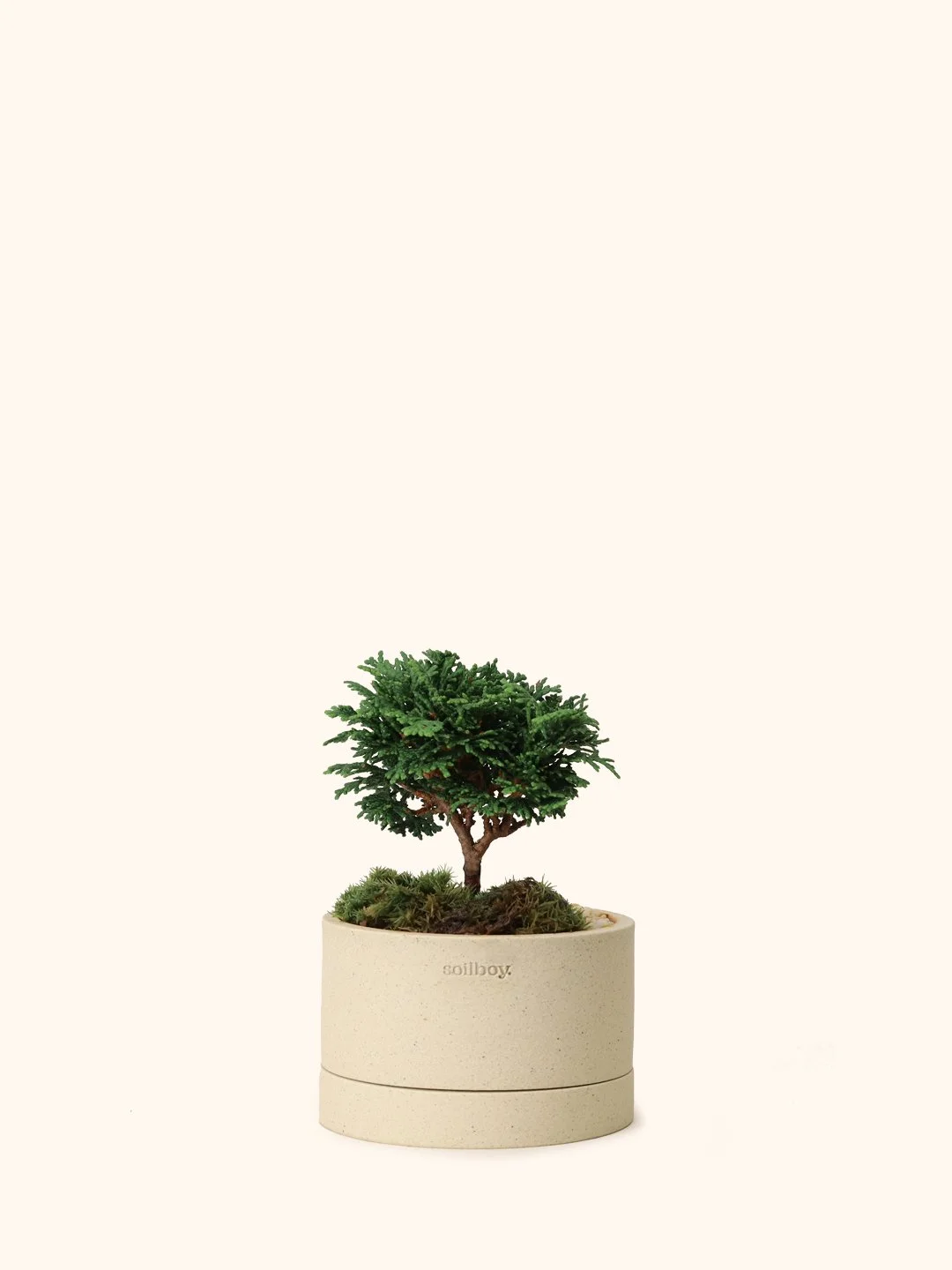 Shop our new plant collection now — Soilboy