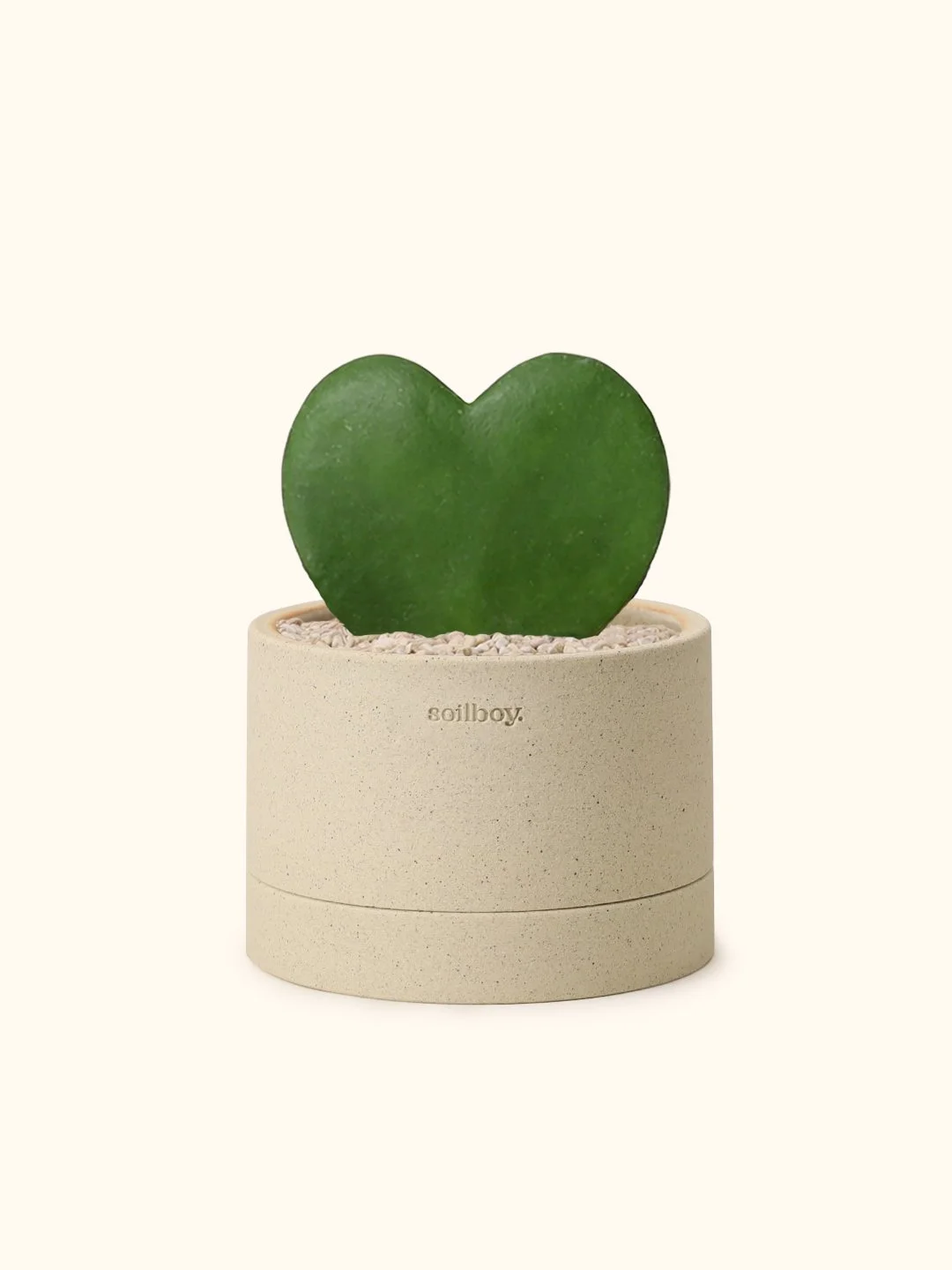 Shop our new plant collection now — Soilboy
