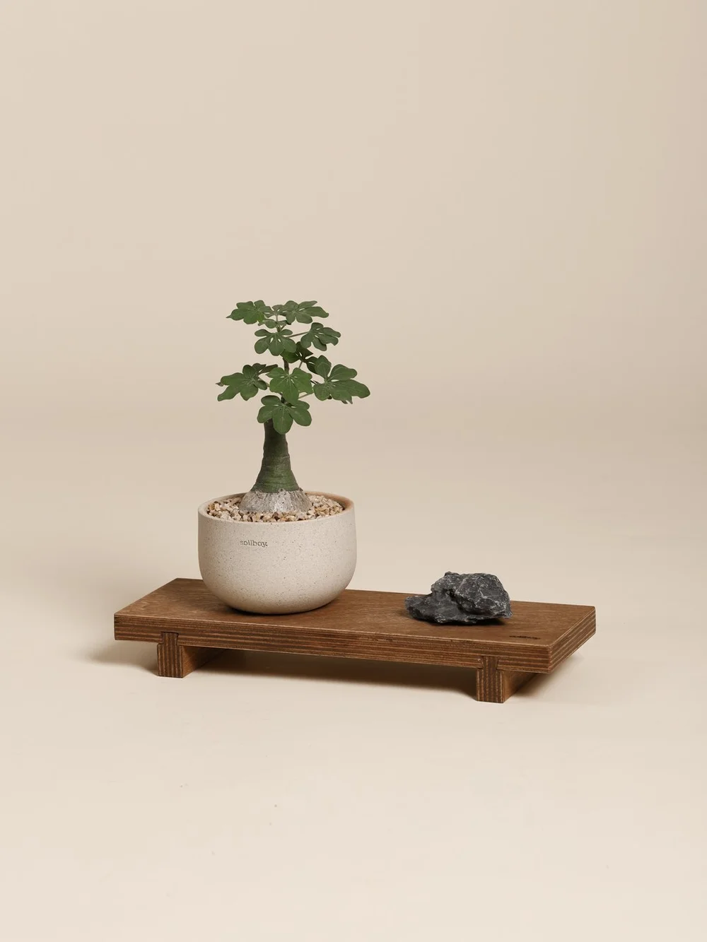 Collaboration — Soilboy