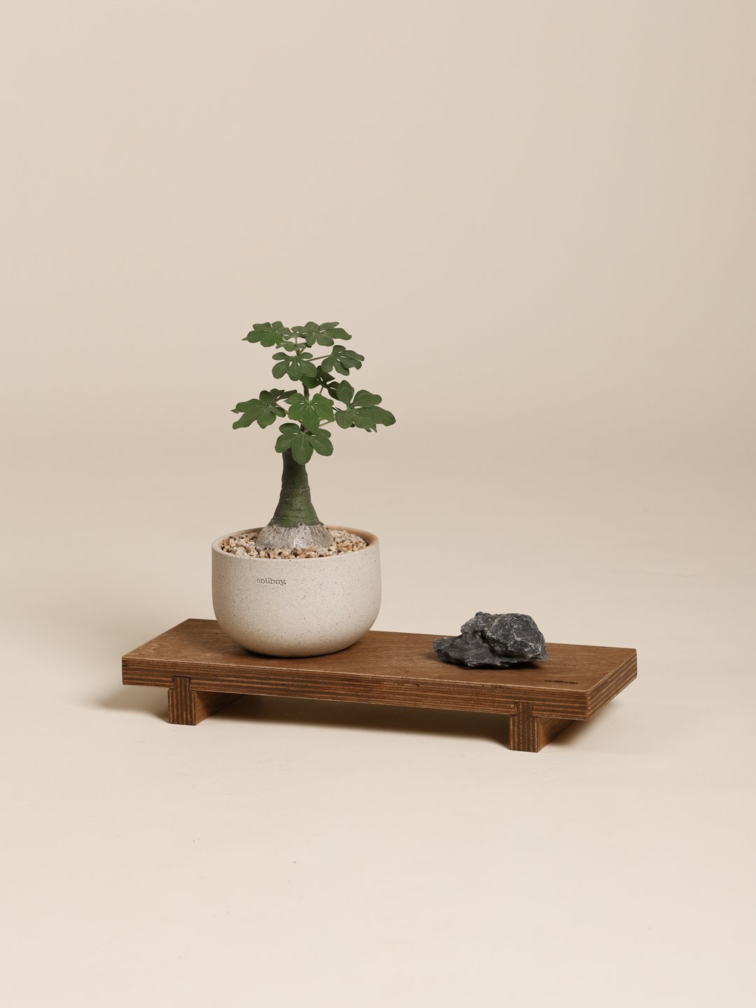 Collaboration — Soilboy