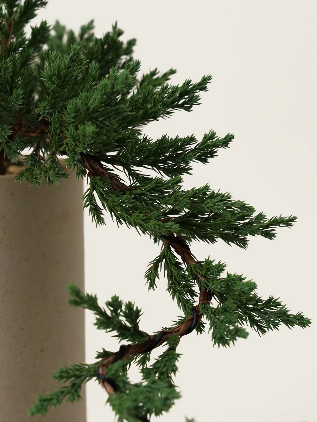 Shop our new plant collection now — Soilboy
