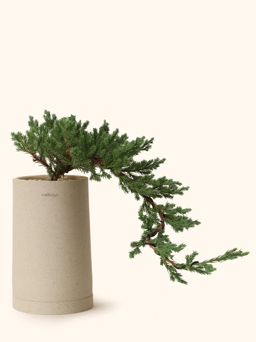 Shop our new plant collection now — Soilboy