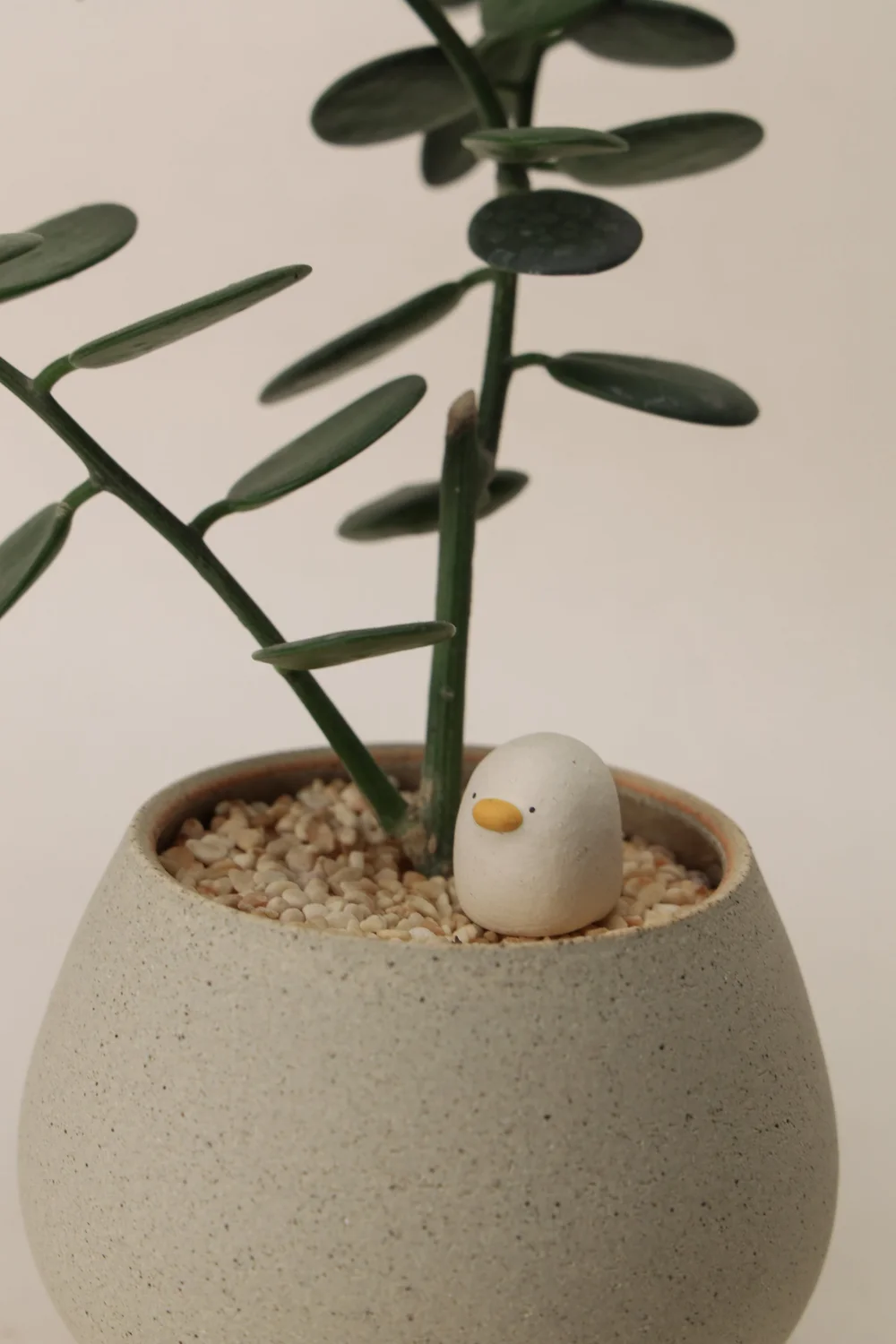 Shop our new collection of planters — Soilboy