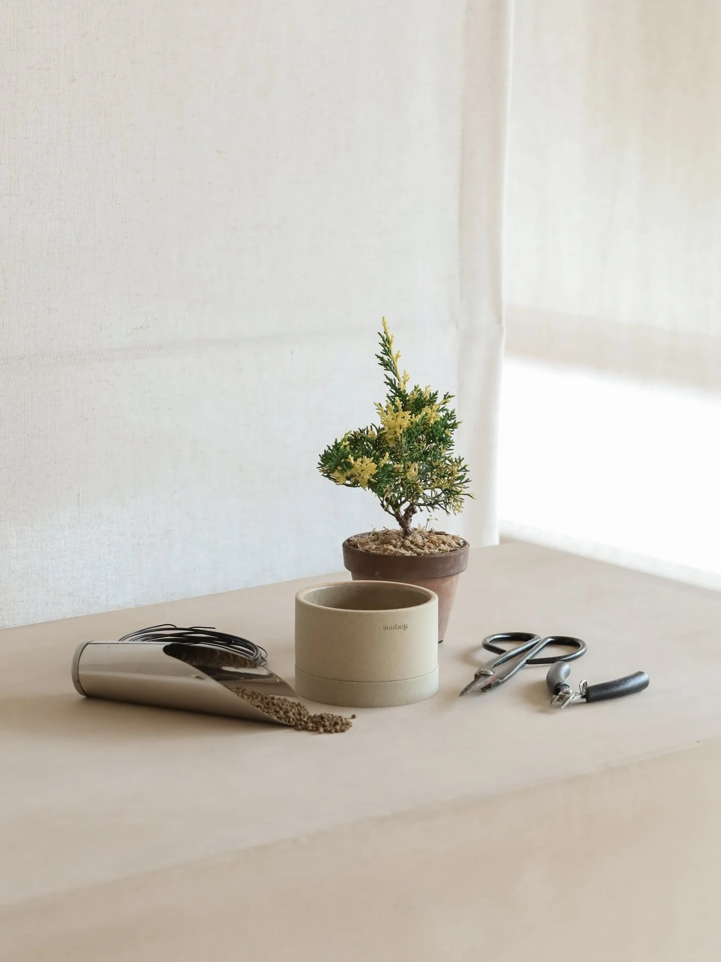 Workshops — Soilboy