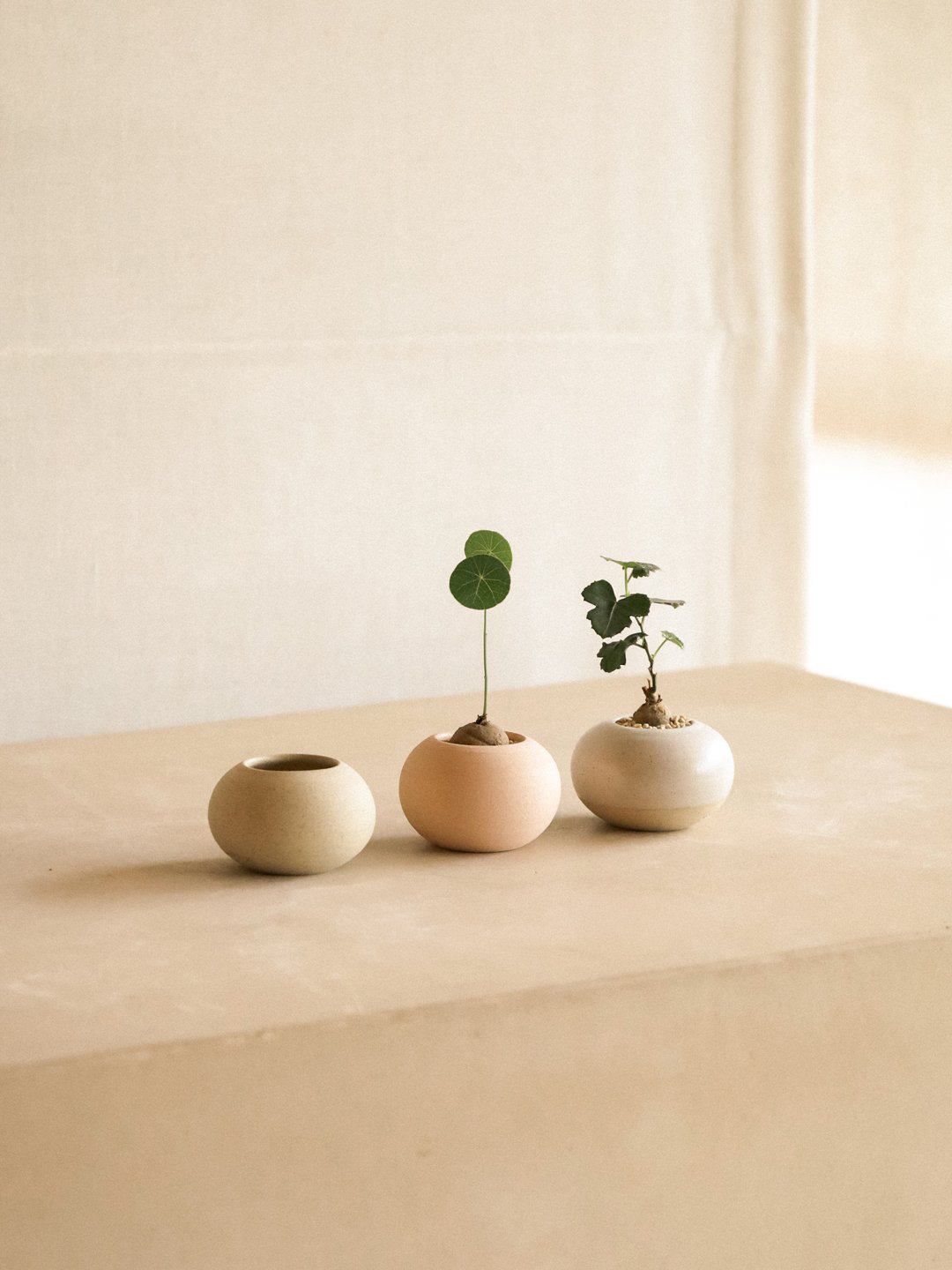 Shop our new collection of planters — Soilboy